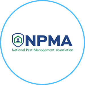 25+ Years Servicing Across the Midwest and East Coast | About Urbanex